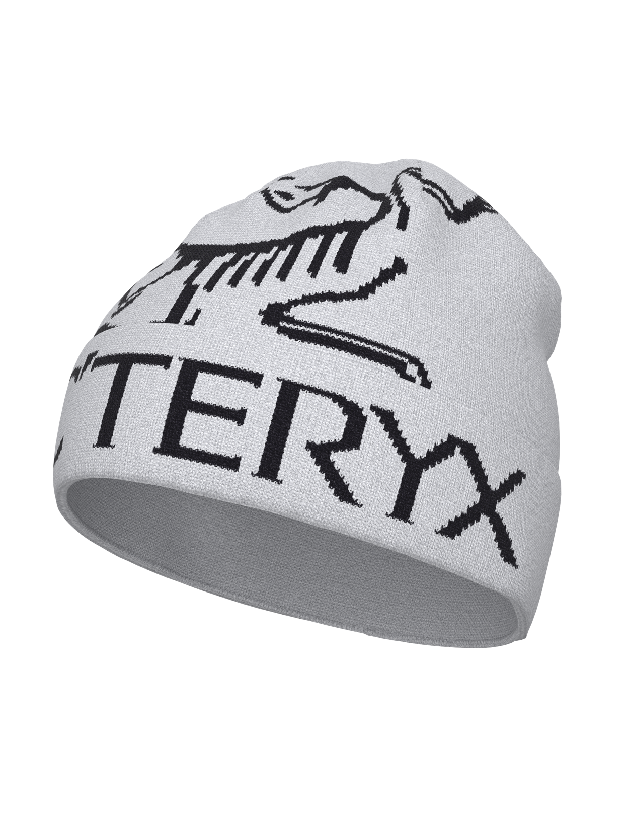 arcterx 2023FW 入荷情報